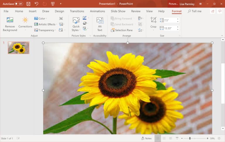 How to Remove Background in PowerPoint | Course Method