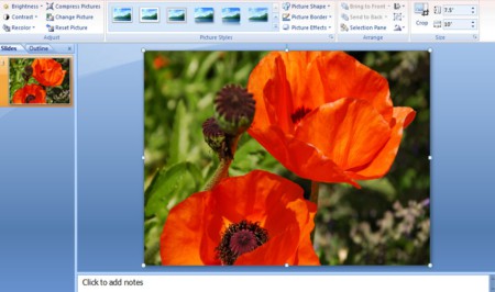 How to Remove Background in PowerPoint | Course Method